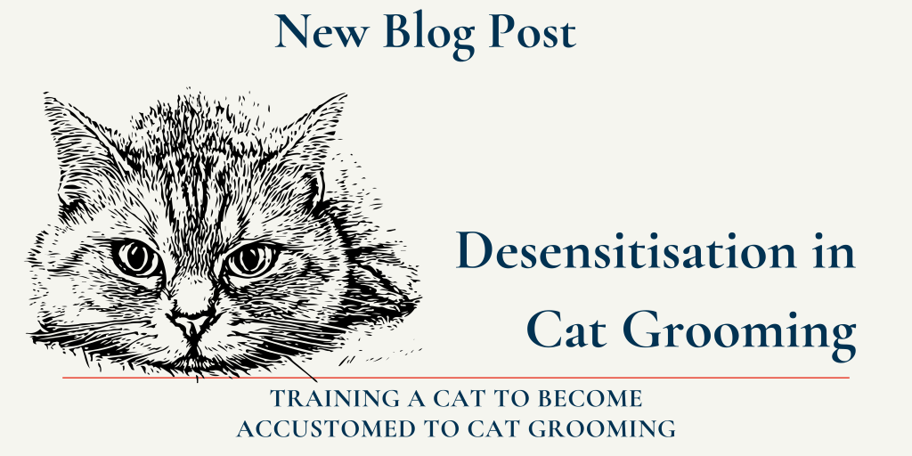 Desensitisation in Cat Grooming- Cat behaviour. There is another way ...